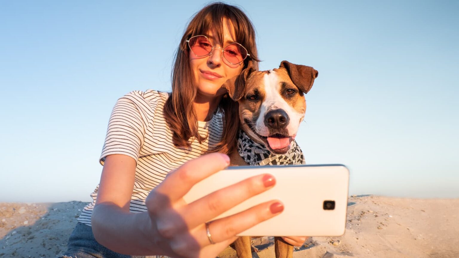 Benefits Of Making Your Pet Famous On Social Media Promi Welt 24 Benefits Of Making Your Pet Famous On Social Media Promi Welt 24